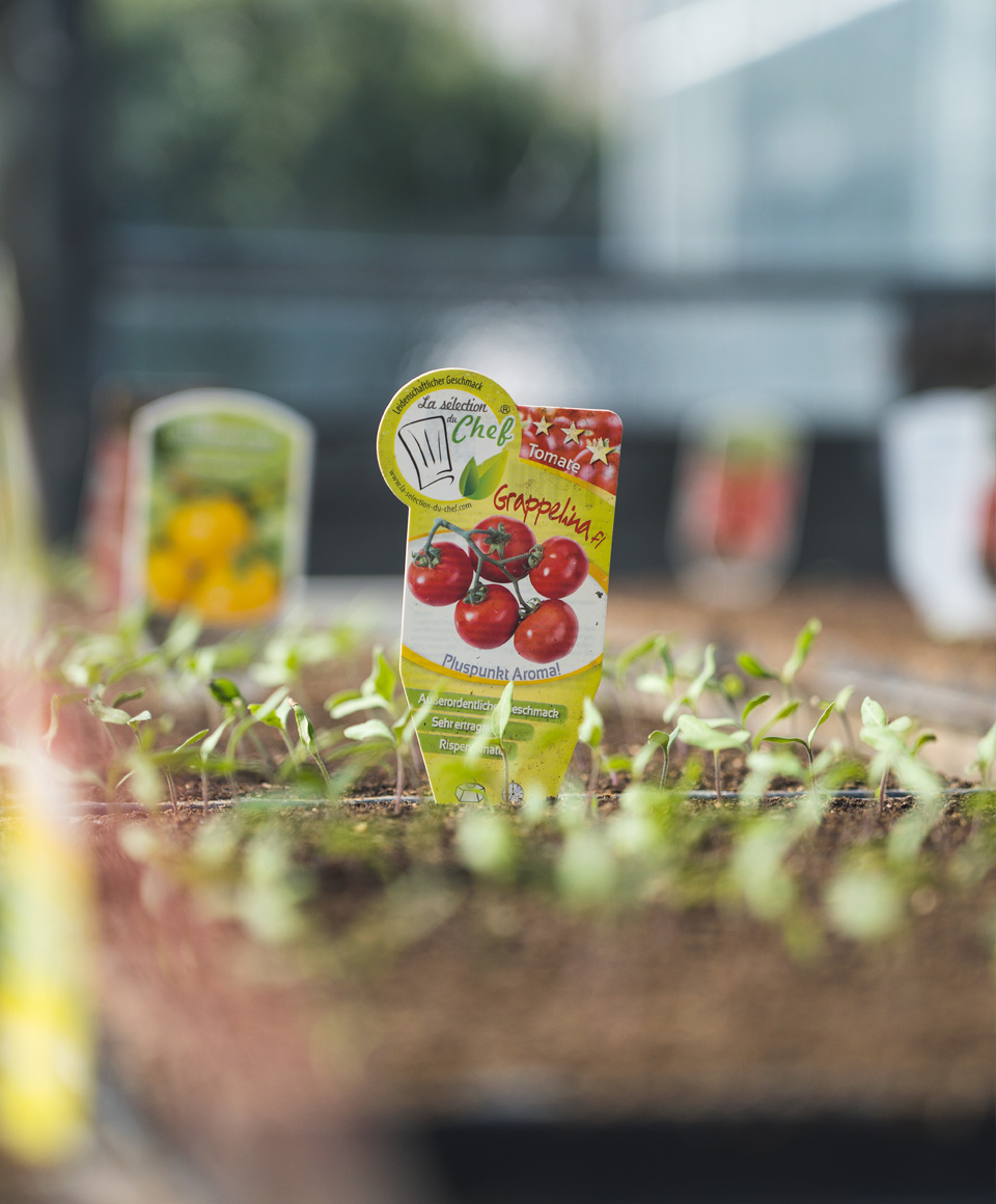 nutzgarten – Blumen Schönmann